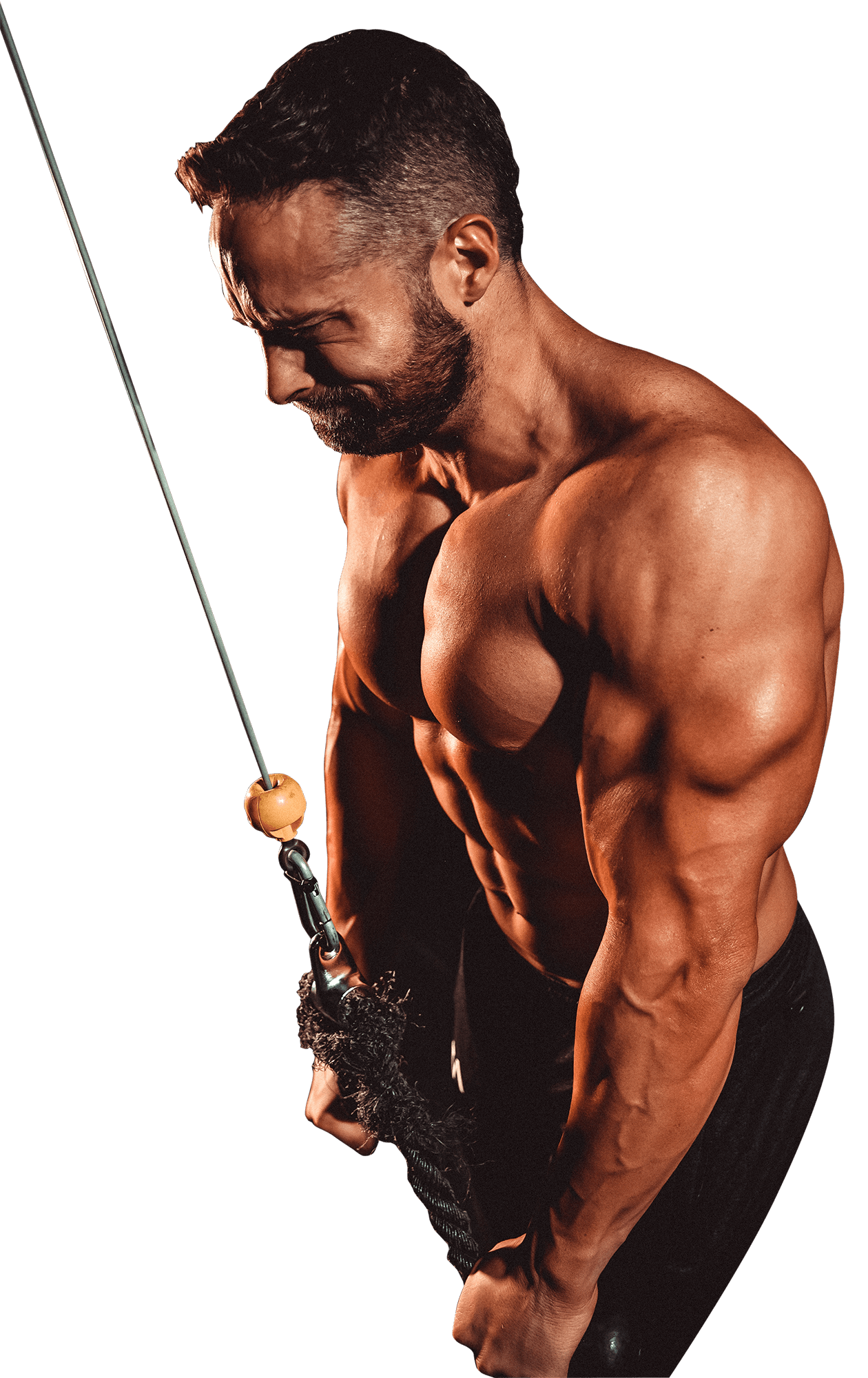 Physique Coaching Academy Certification – Physique Coaching Academy